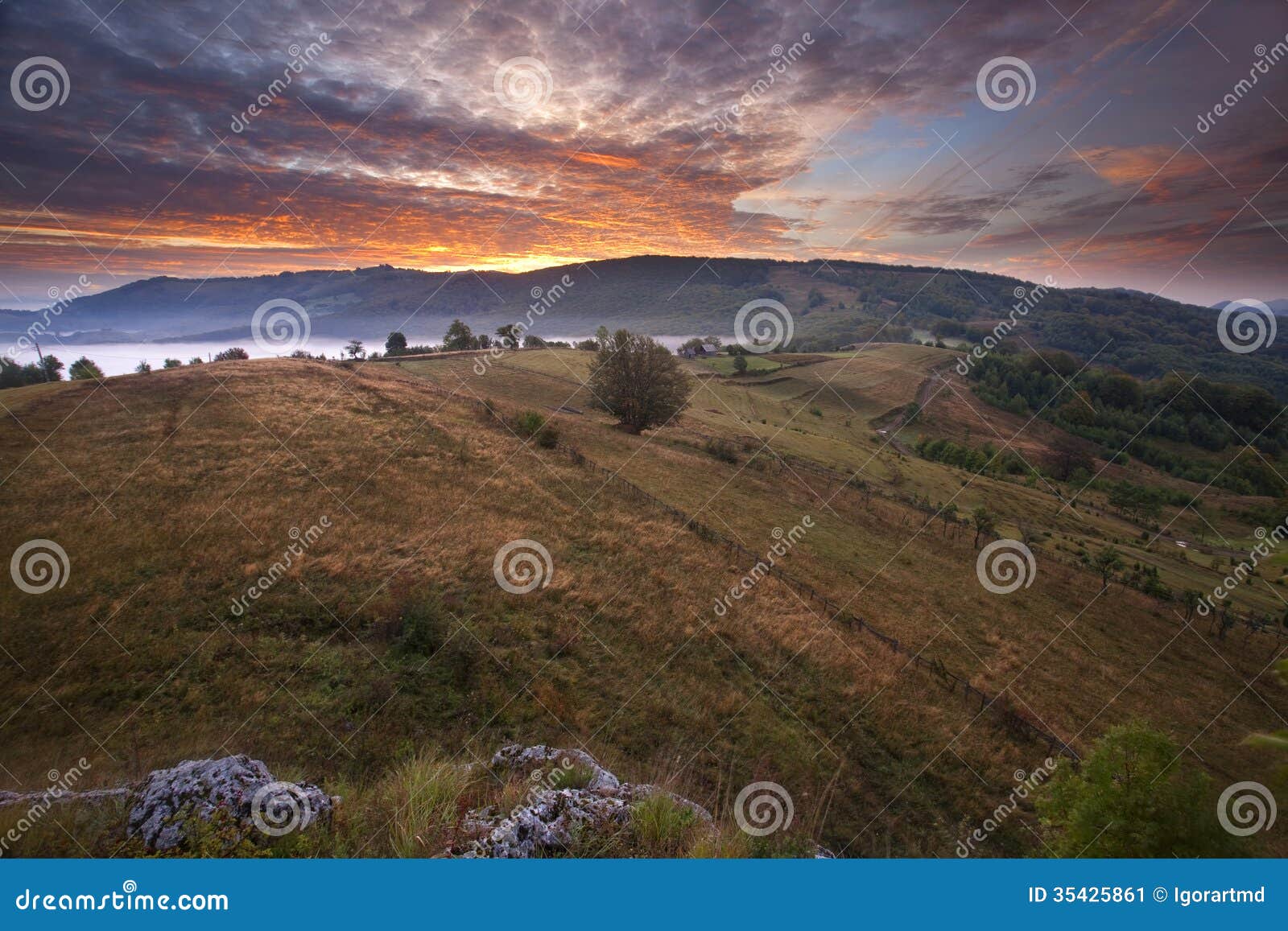 Majestic sunset stock image. Image of flower, highlands - 35425861