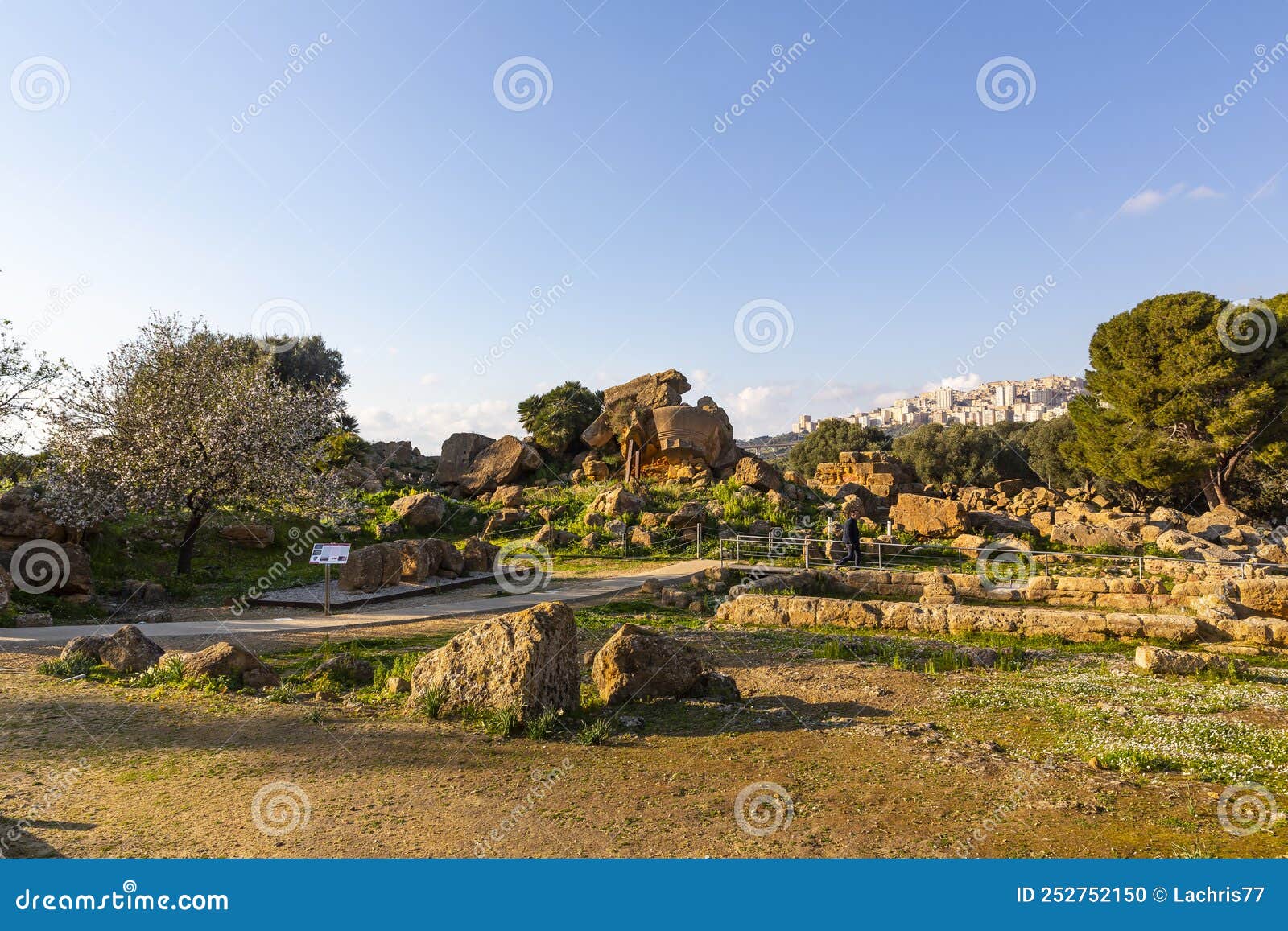 The Majestic Telamon Of The Great Temple Of Olympian Zeus In The Valley ...
