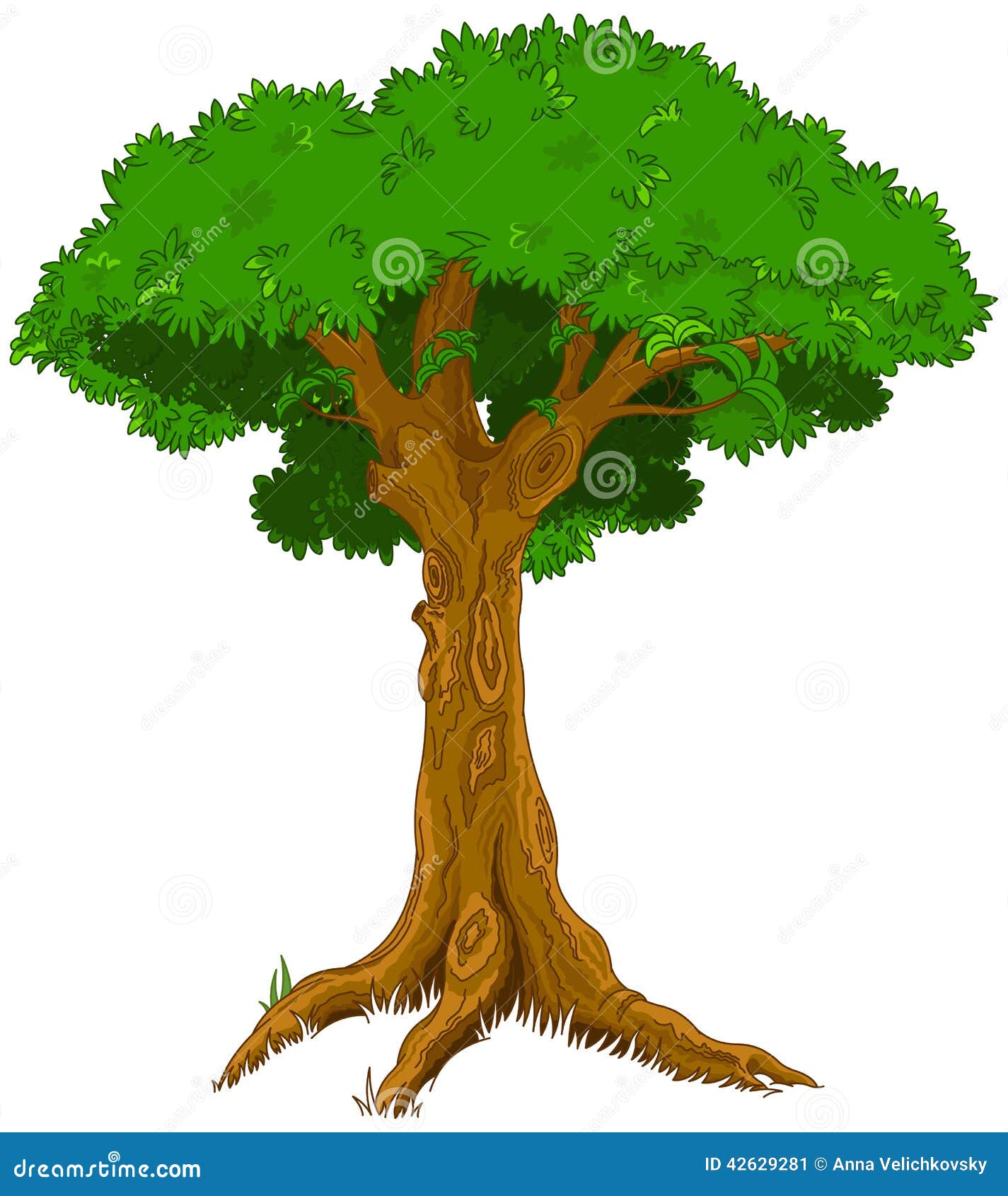 Majestic Tree Cartoon Vector | CartoonDealer.com #42629281 Majestic Tree Cartoon Vector | CartoonDealer.com #42629281