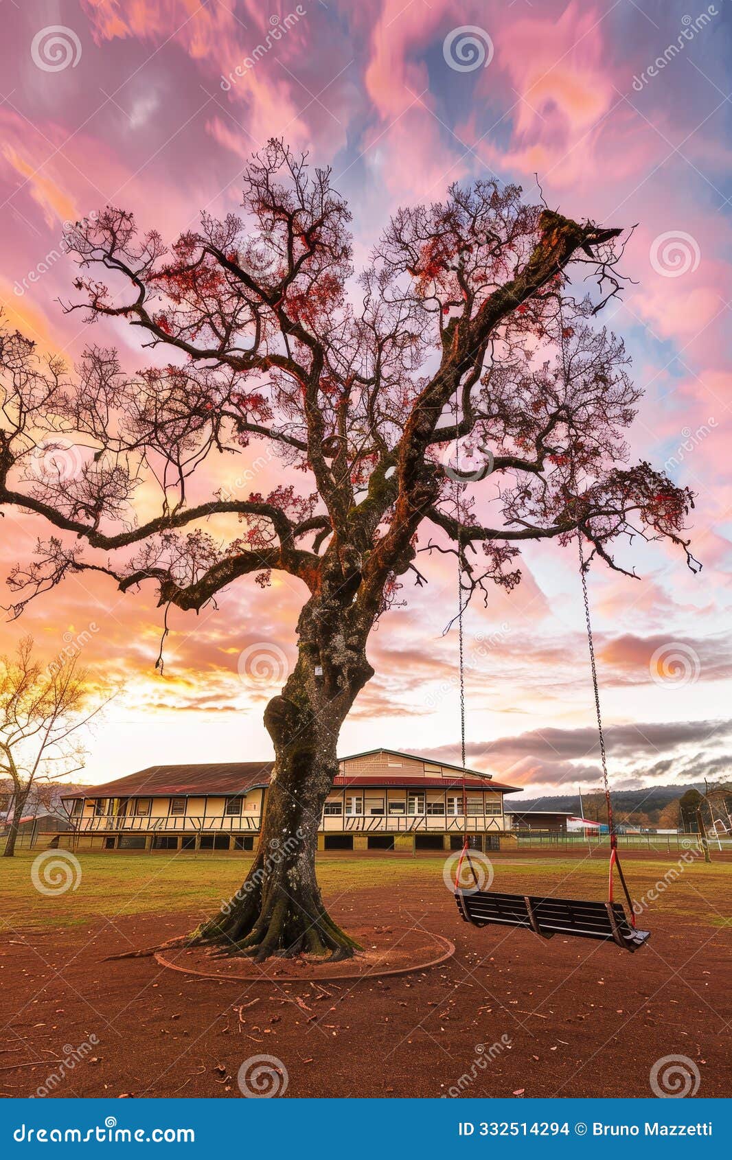 Majestic Tree with a Swing Under a Vibrant Sunset Sky in a Serene ...