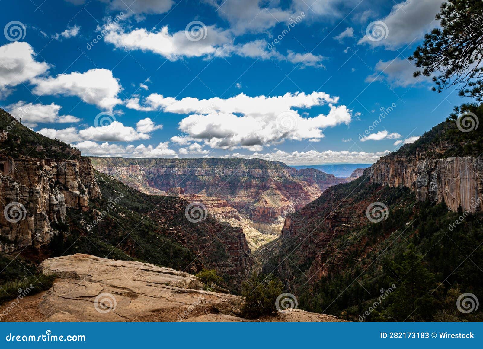 Majestic View of the Grand Canyon Featuring a Sweeping Sky Filled with ...