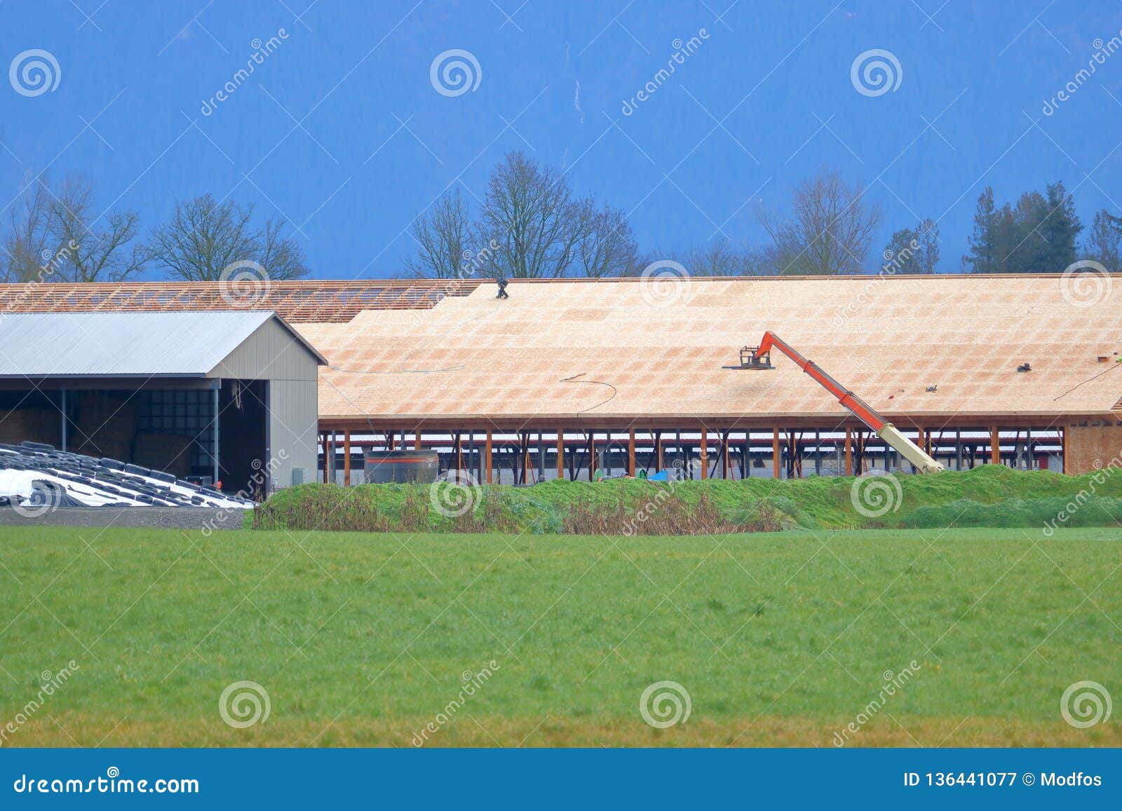 Major Farm Building Under Construction Stock Image - Image of outdoor ...