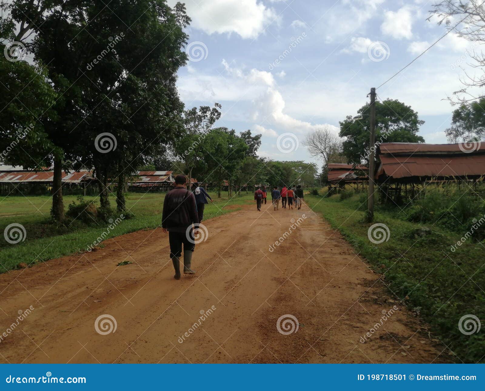 On a Major Project Road in South Kalimantan Indonesia Editorial Photo ...