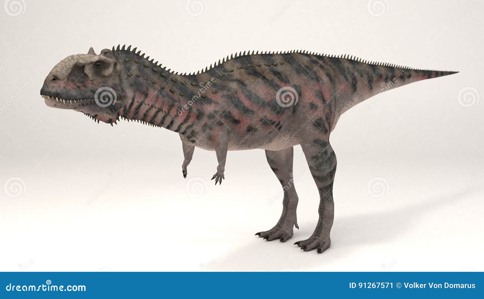 Majungasaurus Dinosaur On White Royalty-Free Stock Image ...