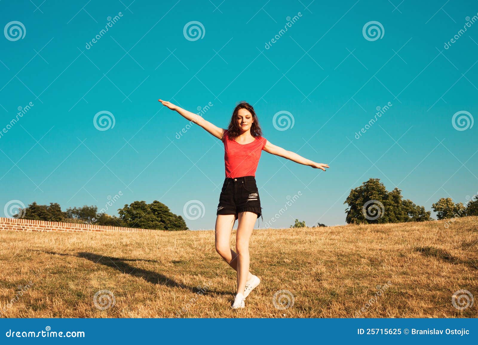Make balance stock image. Image of full, balance, blue - 25715625