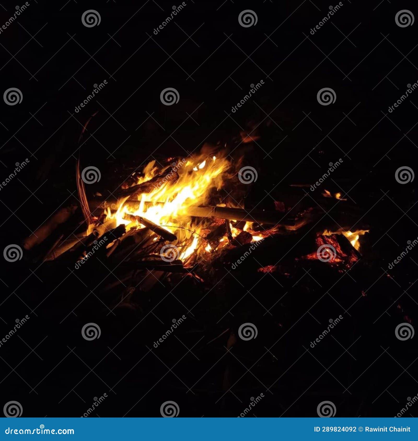 Make a bonfire stock photo. Image of fire, winter, night - 289824092