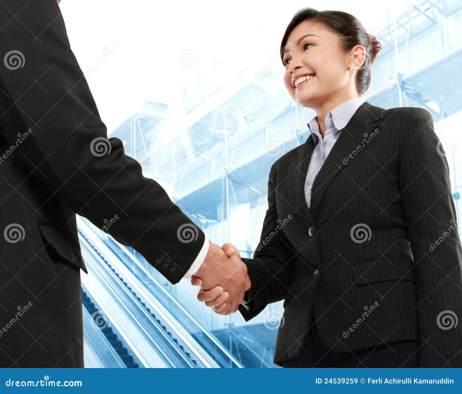 Make a deal stock image. Image of partnership, businesswoman - 24539259