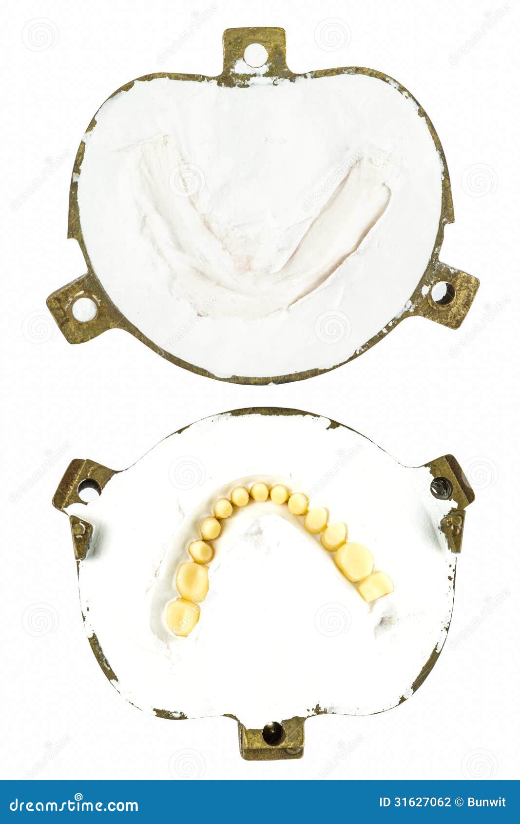 Make denture plaster model stock photo. Image of tooth - 31627062