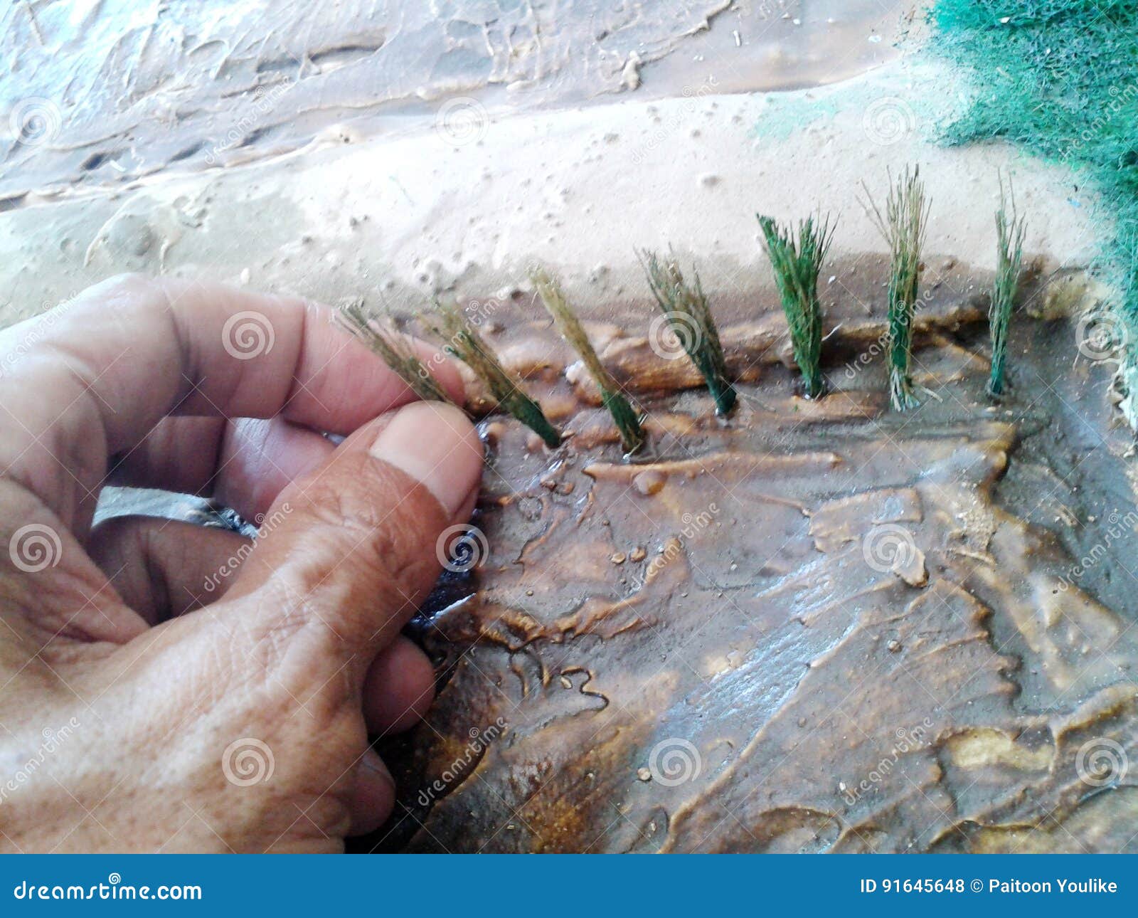 Make a planting rice model stock photo. Image of trade - 91645648