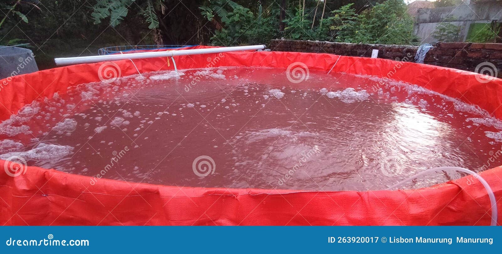 Make a Pool Frame from Wiremes, and the Result is after it Becomes a ...