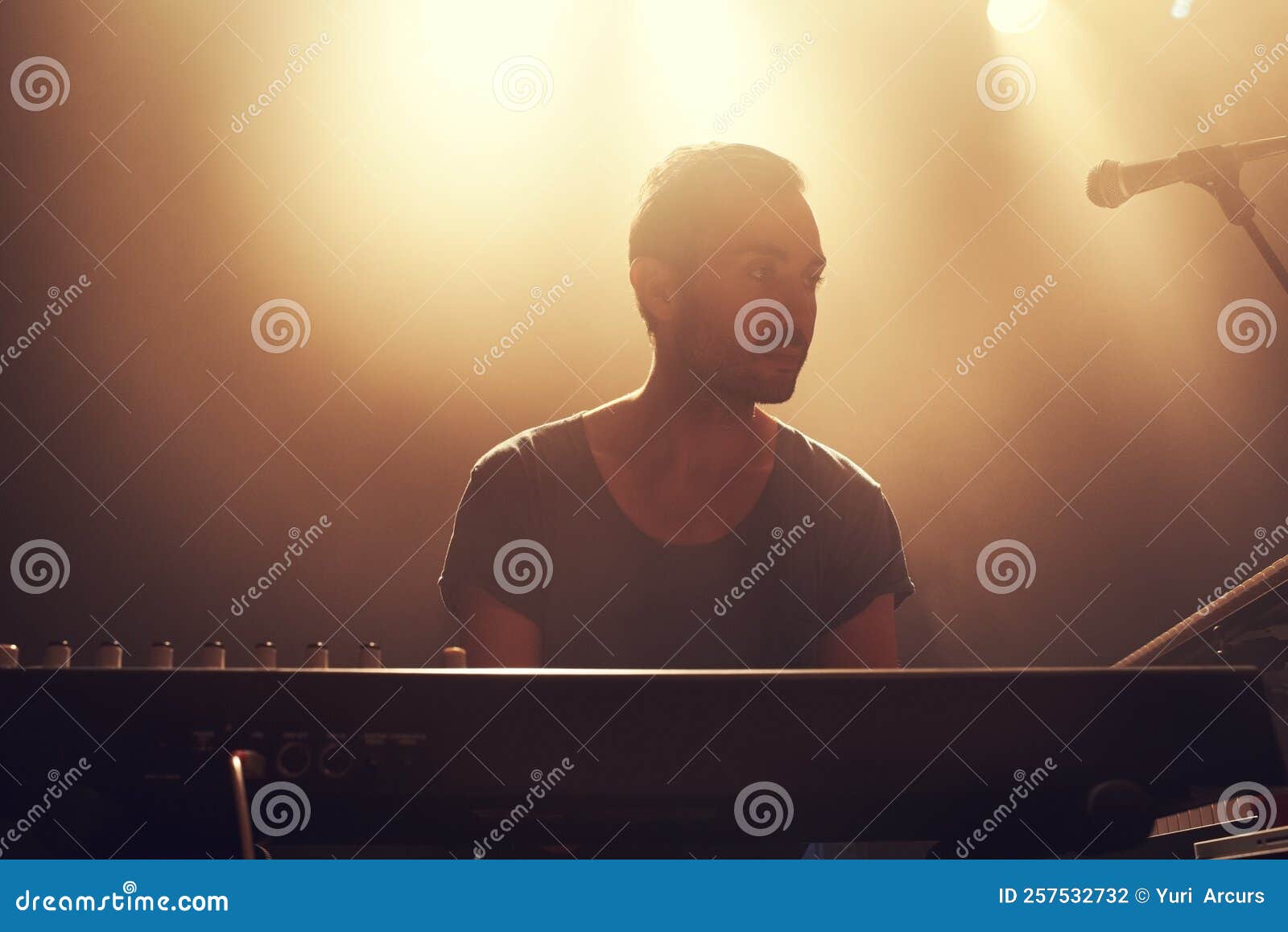 Make the Synth Sing. a Musician Playing on a Keyboard at a Concert ...