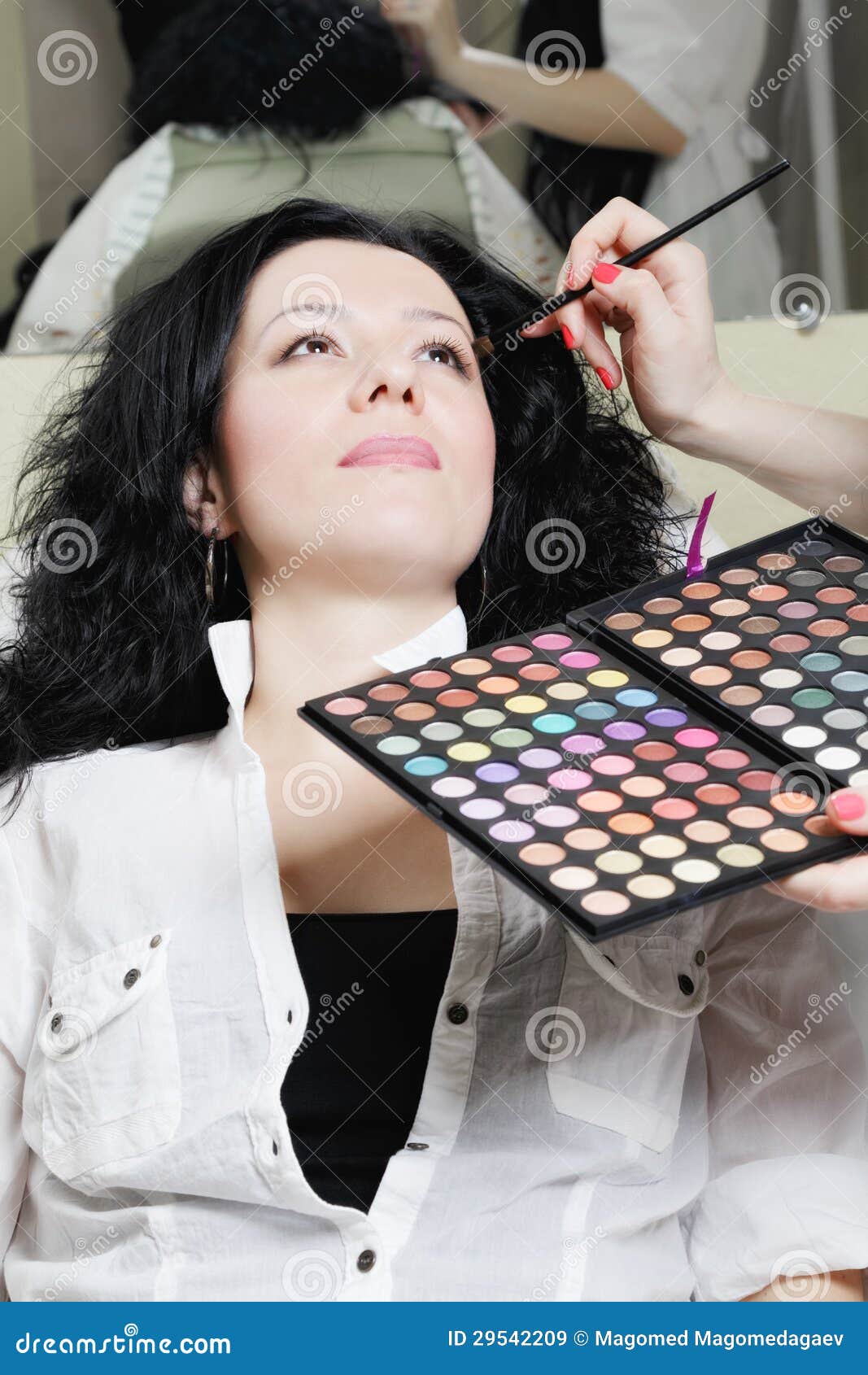 Make-up stock image. Image of female, brush, human, looking - 29542209
