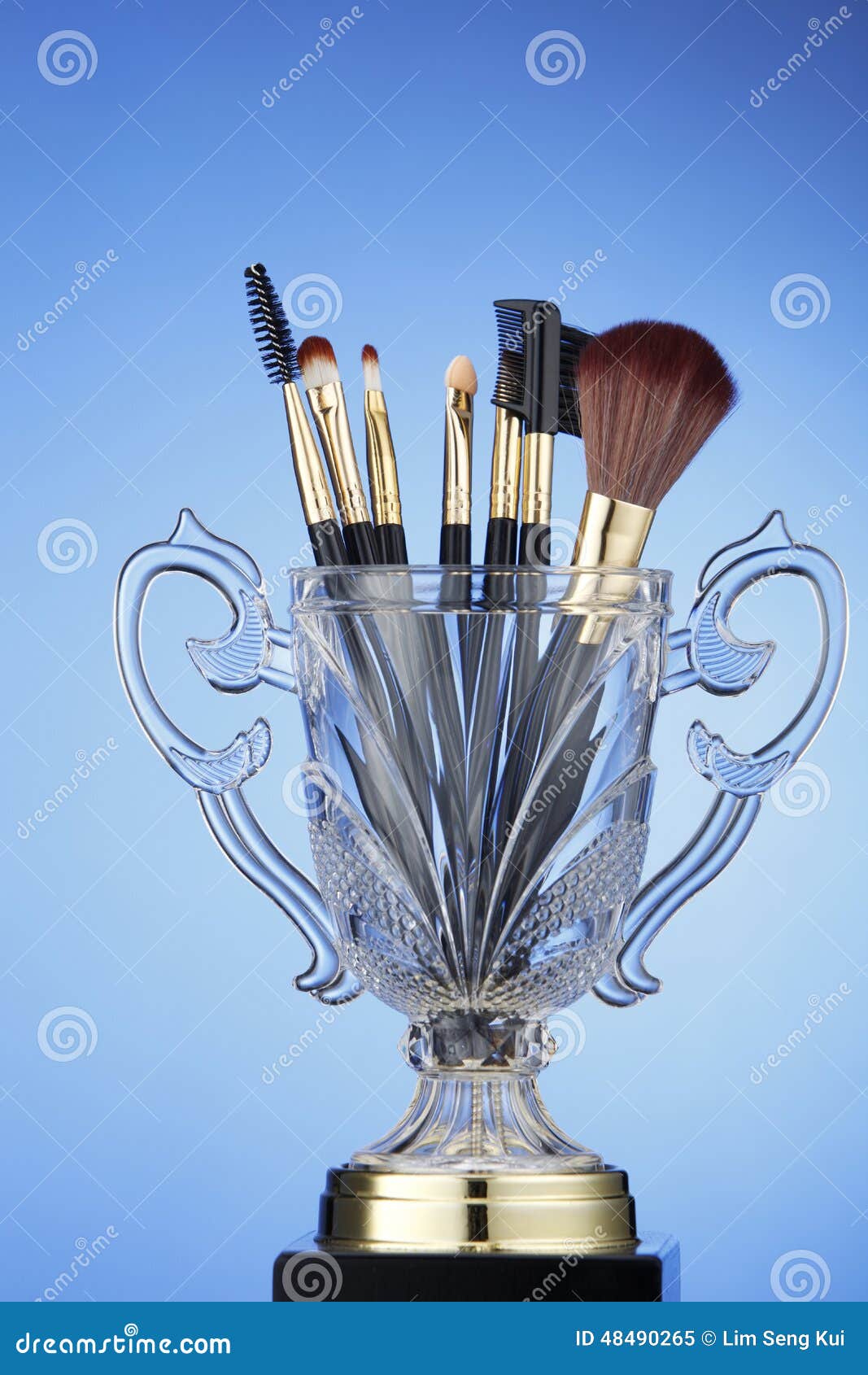 Make up competition stock image. Image of glamour, place - 48490265