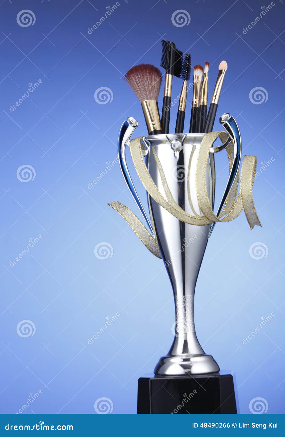 Make up competition stock photo. Image of personal, gold - 48490266