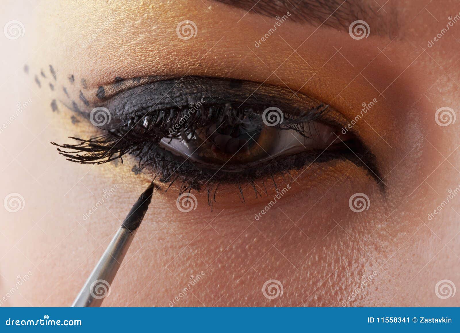 Make-up in work stock image. Image of leopard, glamour - 11558341