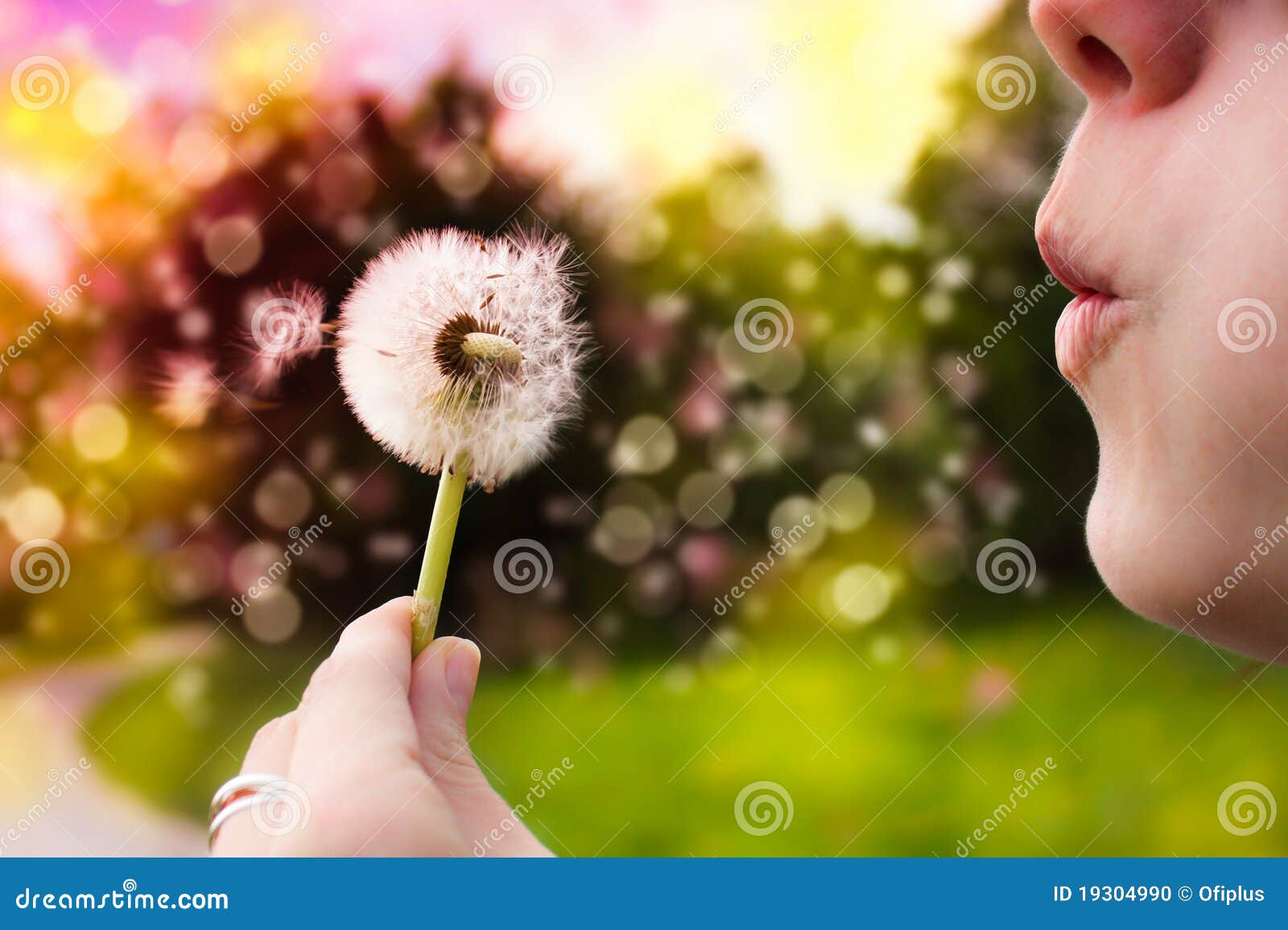 Make a wish stock photo. Image of hoping, face, female - 19304990