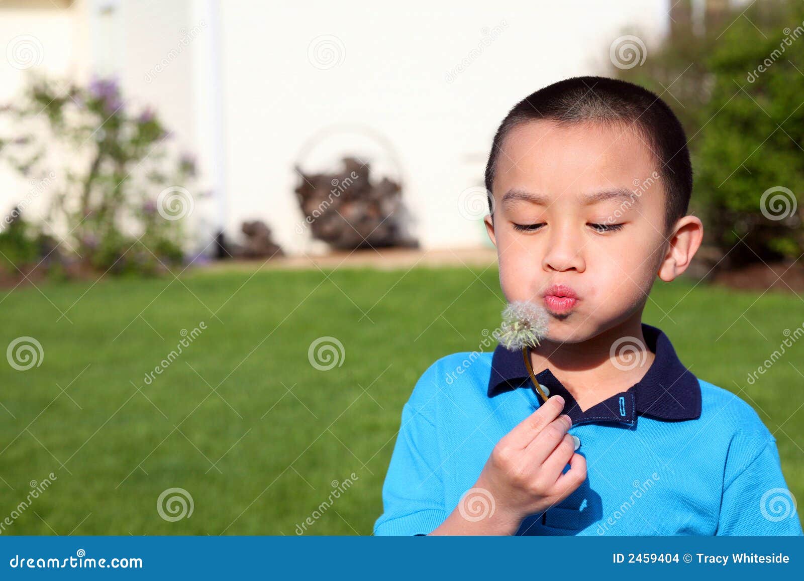 Make a Wish stock photo. Image of asian, children, kids - 2459404