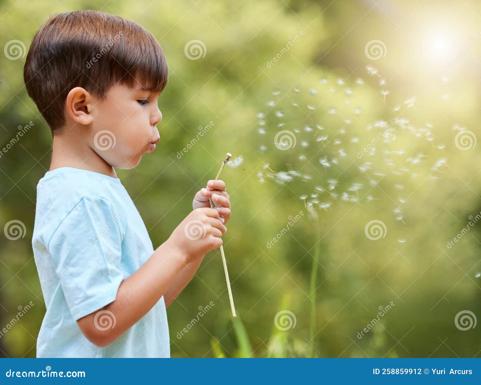 Make a Wish. a Little Boy Blowing on a Dandelion in Nature. Stock Photo ...