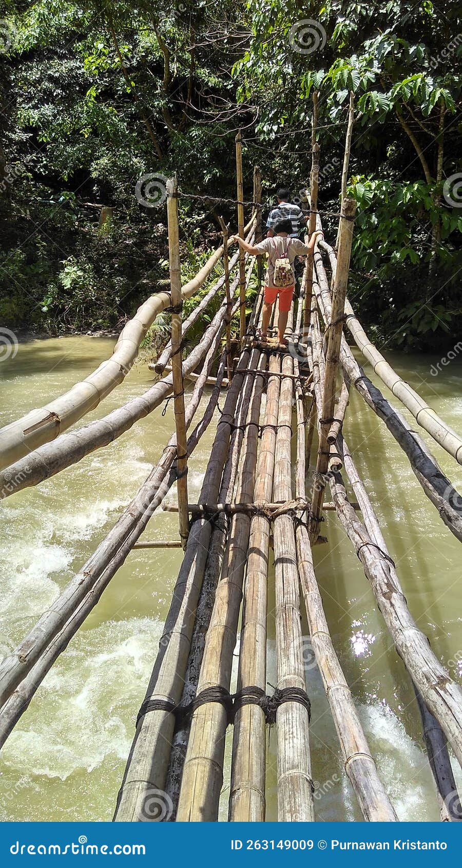A Makeshift Bamboo Bridge Over a Flowing River Stock Image - Image of ...