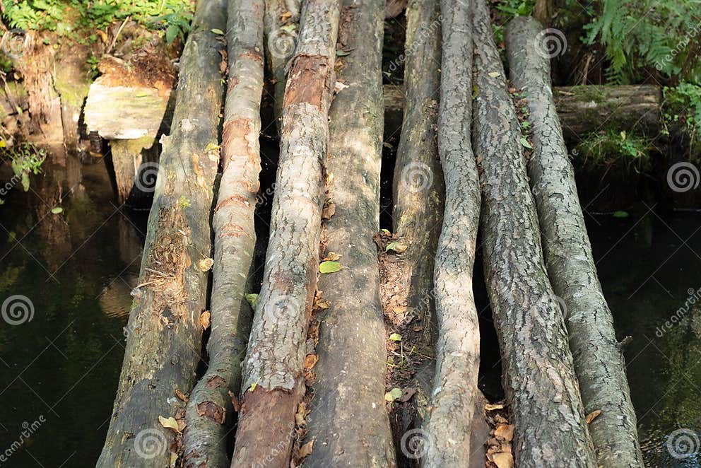 A Makeshift Bridge Made of Tree Trunks. Tree Trunks are Used for ...