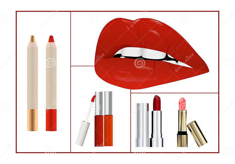 Makeup collage, cdr vector stock vector. Illustration of closeup - 22706678