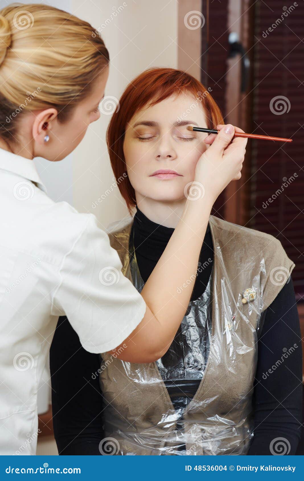 Makeup eye shadow stock photo. Image of makeup, shadow - 48536004