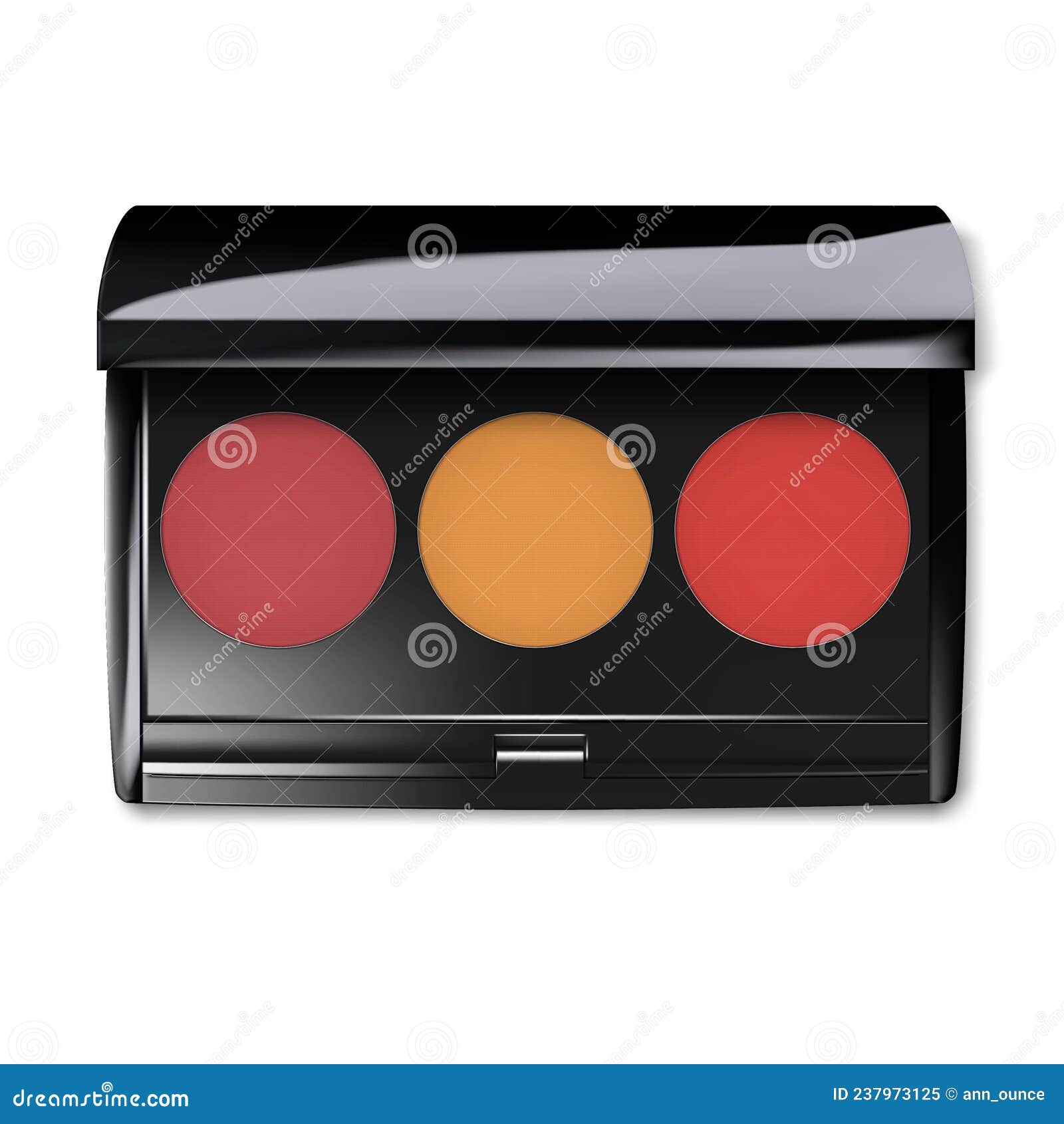 Makeup Matte Blush Palette Container. Compact Blusher Kit. Open Make-up ...