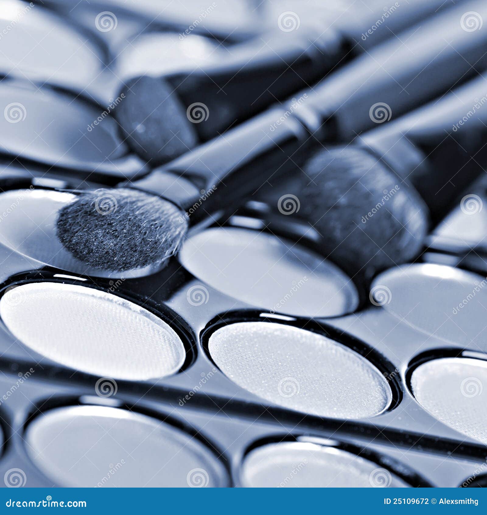 Makeup still life stock photo. Image of model, brushes - 25109672