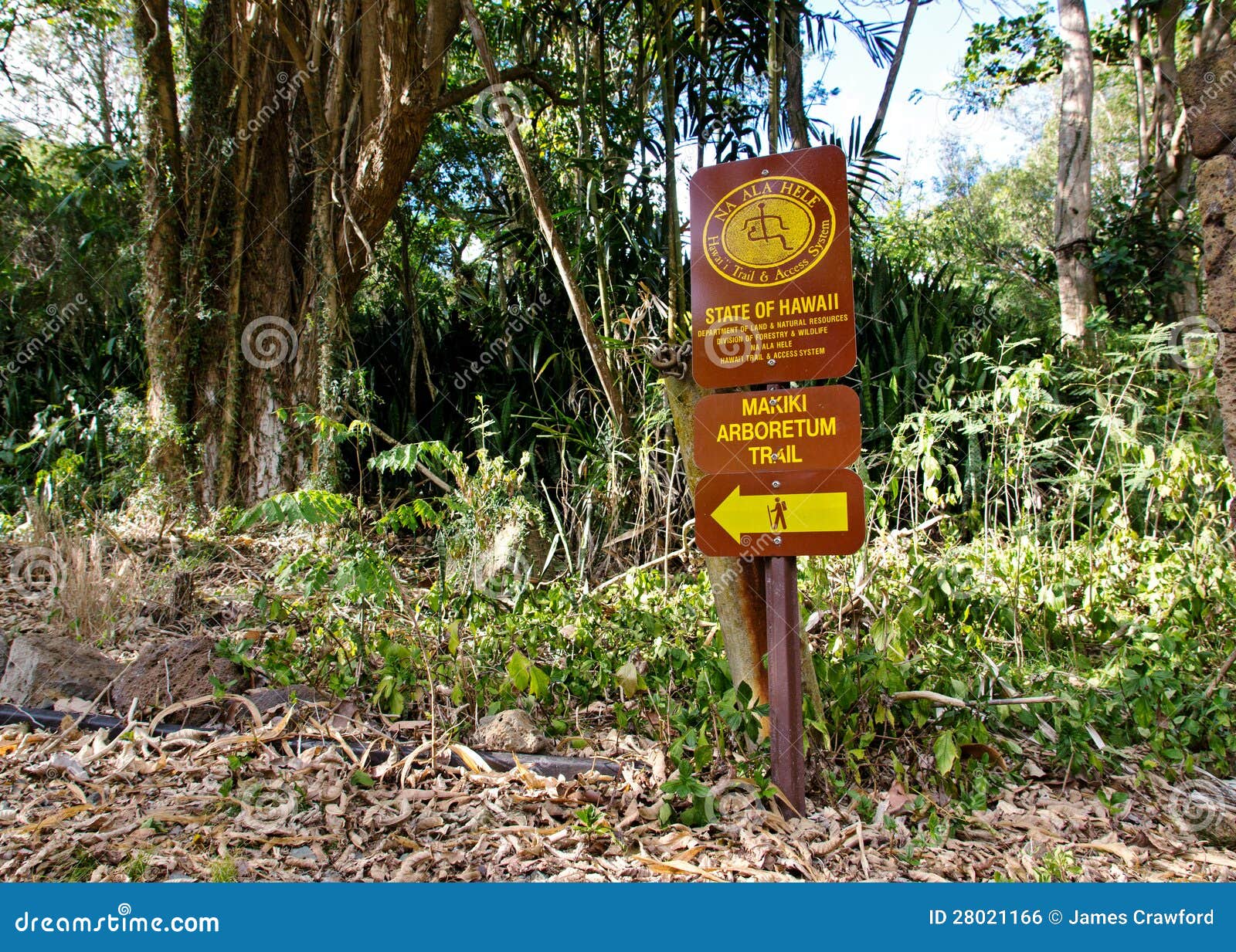 Makiki Trail Stock Photos - Free & Royalty-Free Stock Photos from ...