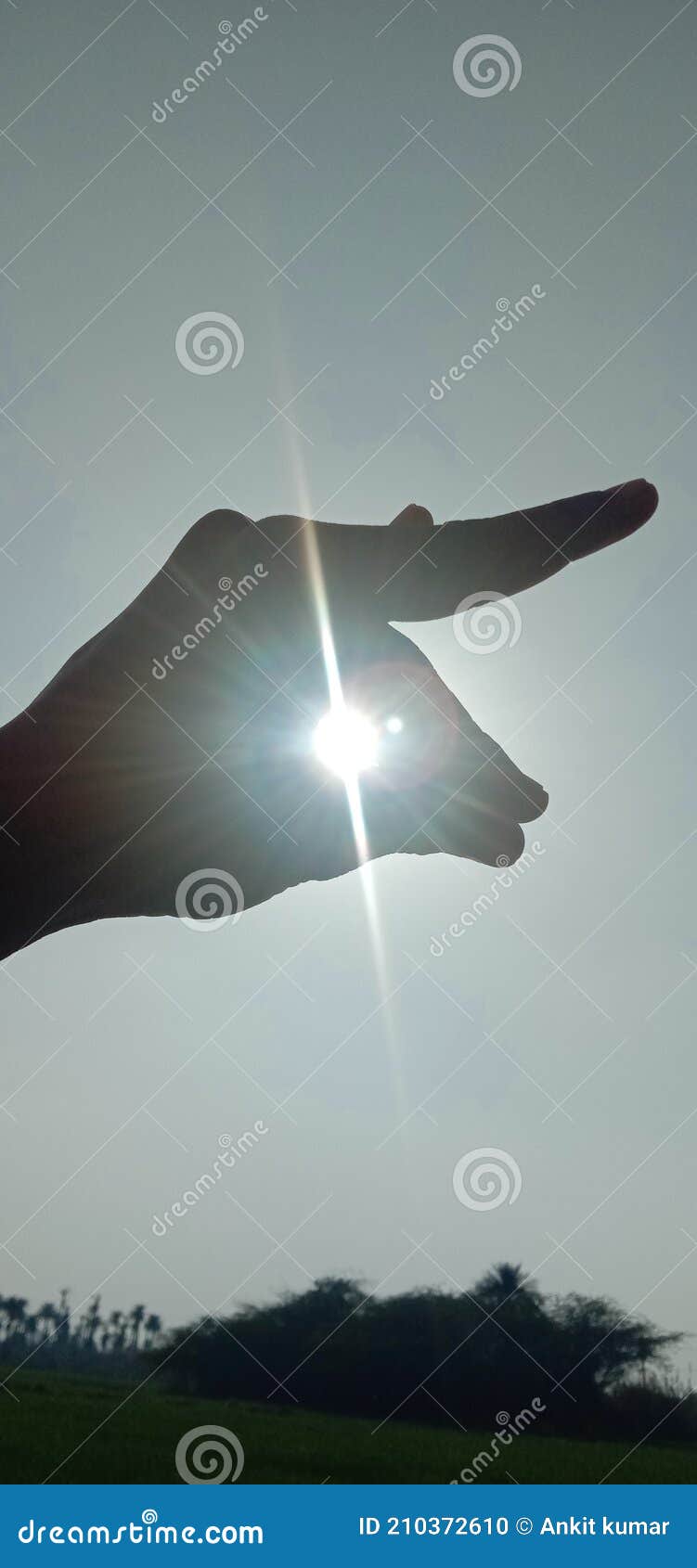 Dear by hand in sun light stock photo. Image of dear - 210372610