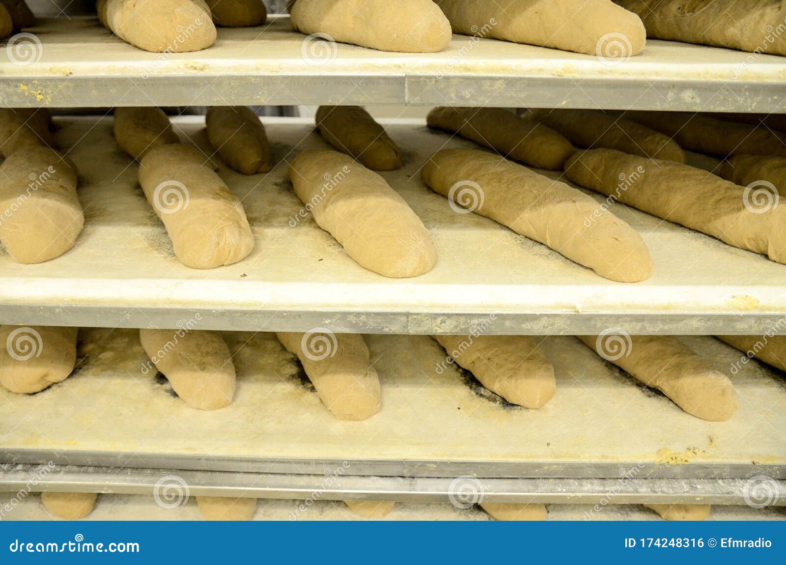 Making Bread in Bakery. Uncooked Bread Dough on a Rack Ready for Baking ...