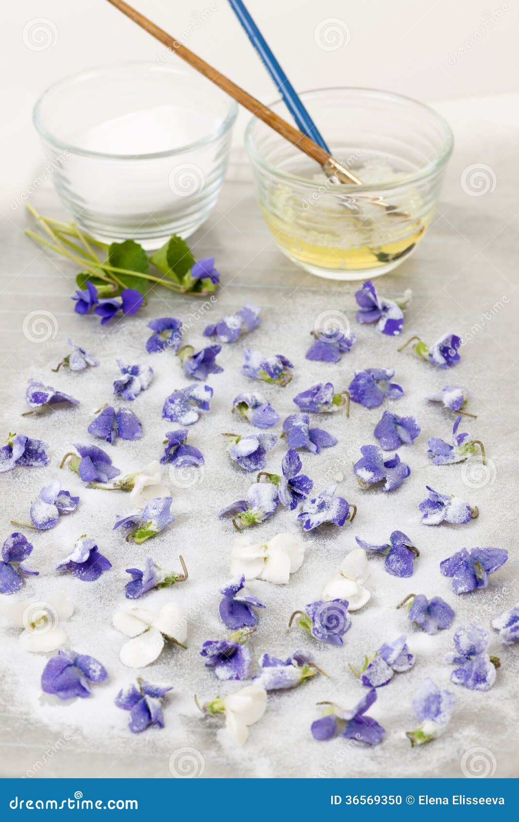 Making candied violets stock photo. Image of cooking - 36569350