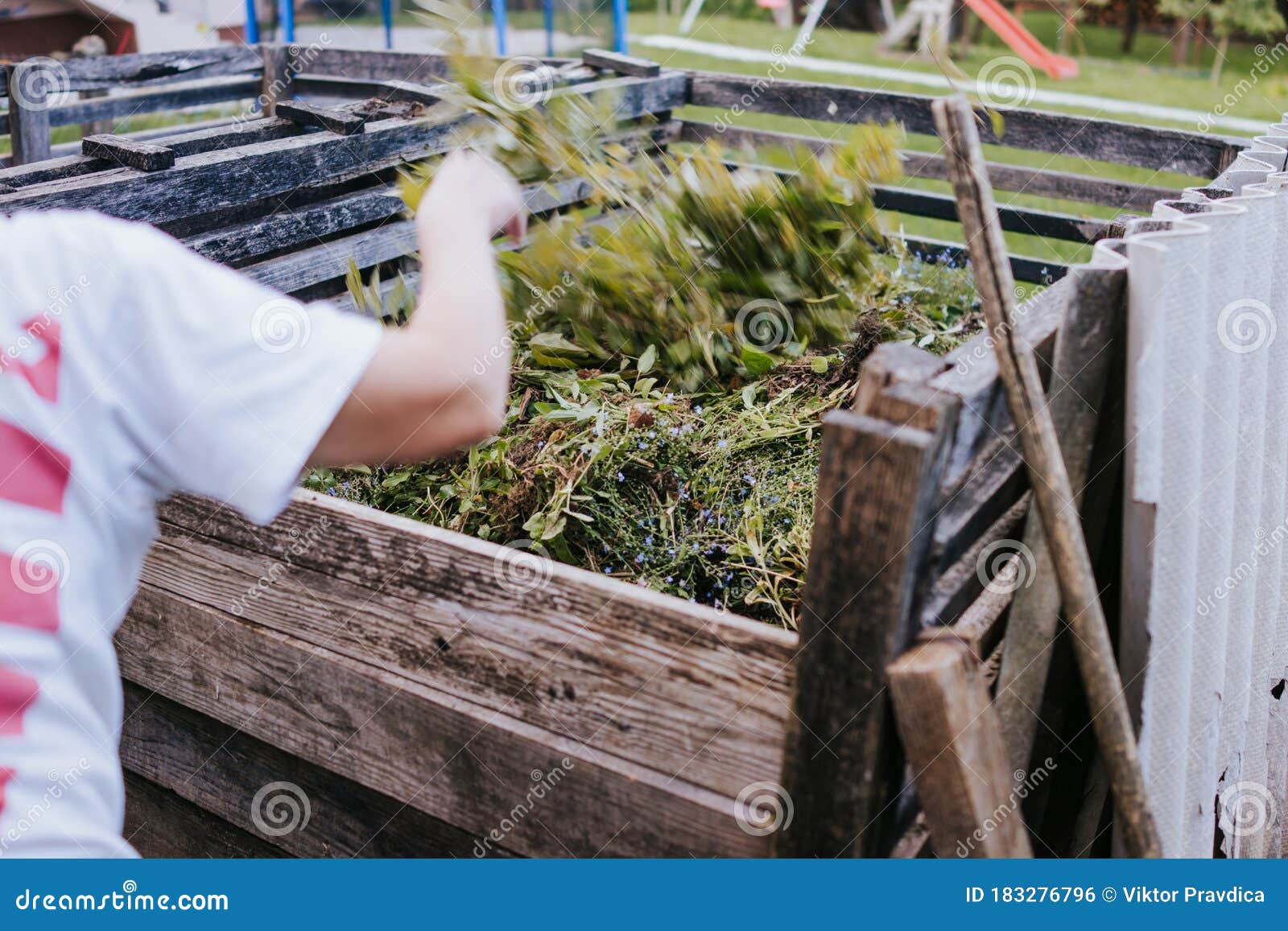 Making Compost in Wooden Box Stock Photo - Image of herb, leaf: 183276796