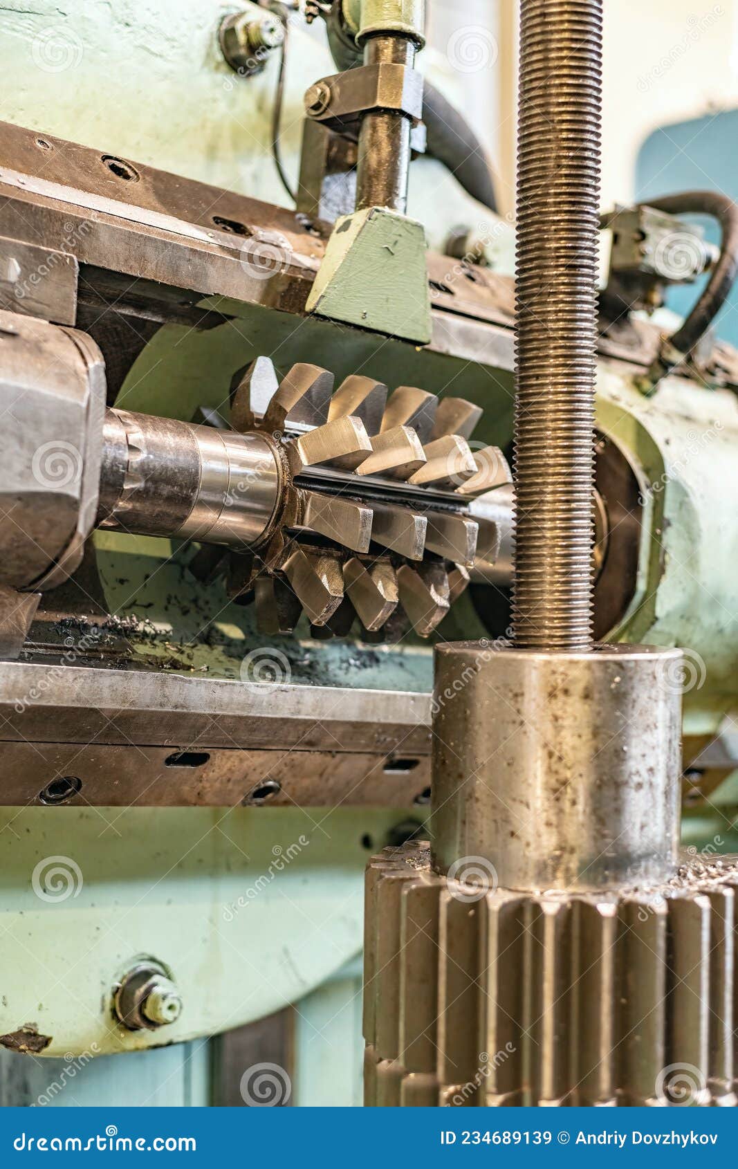 Making and Cutting a Gear Tooth on a Gear Cutting Machine Stock Image ...