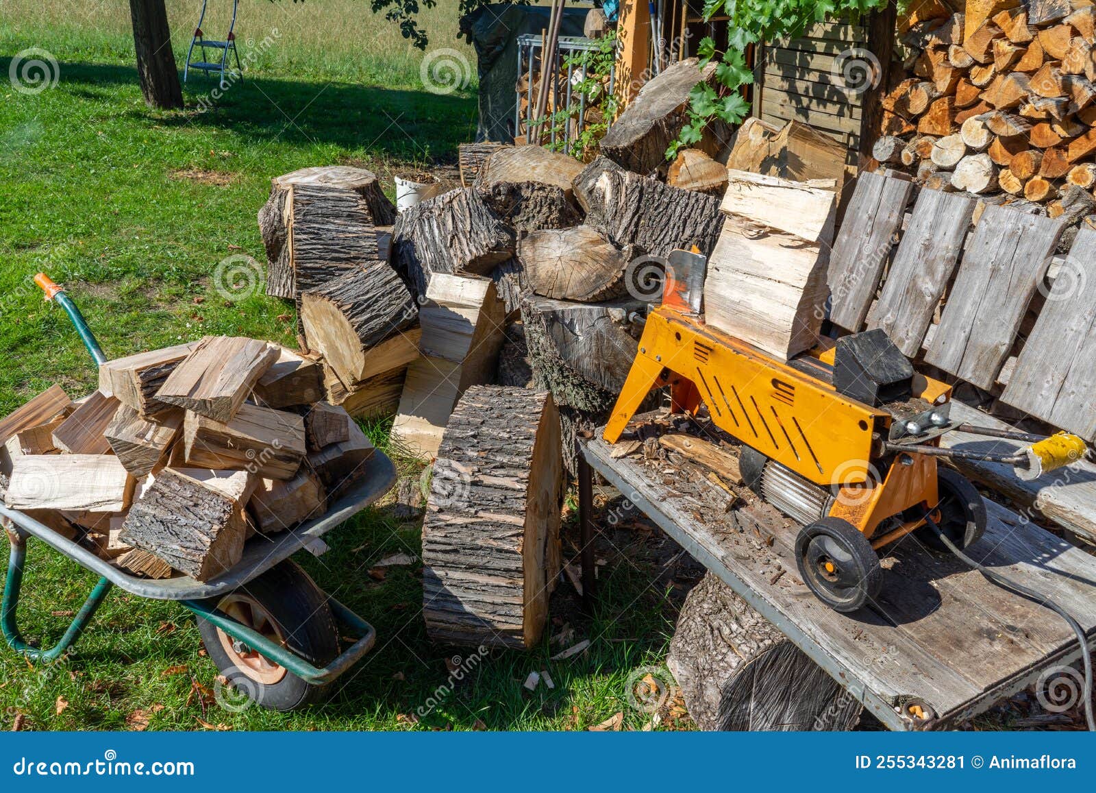 Making Firewood for the Winter Stock Image - Image of price, firewood ...