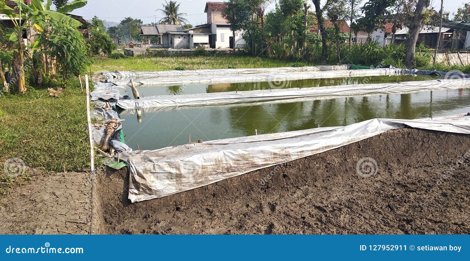 Making fish pond stock image. Image of fish, pond, ponds - 127952911