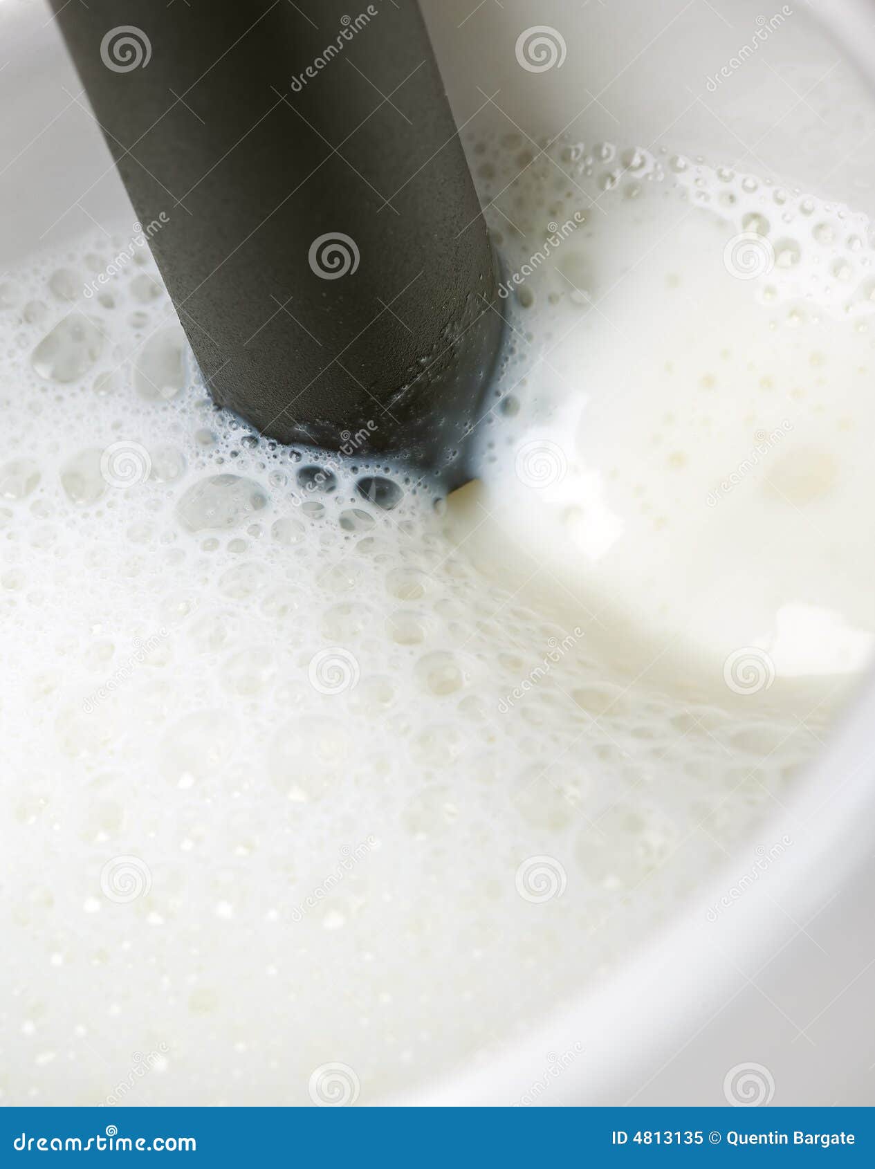 Making frothy milk stock image. Image of coffee, cappuccino - 4813135