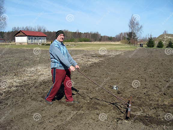 Making furrows stock image. Image of tool, senior, homemade - 30658409