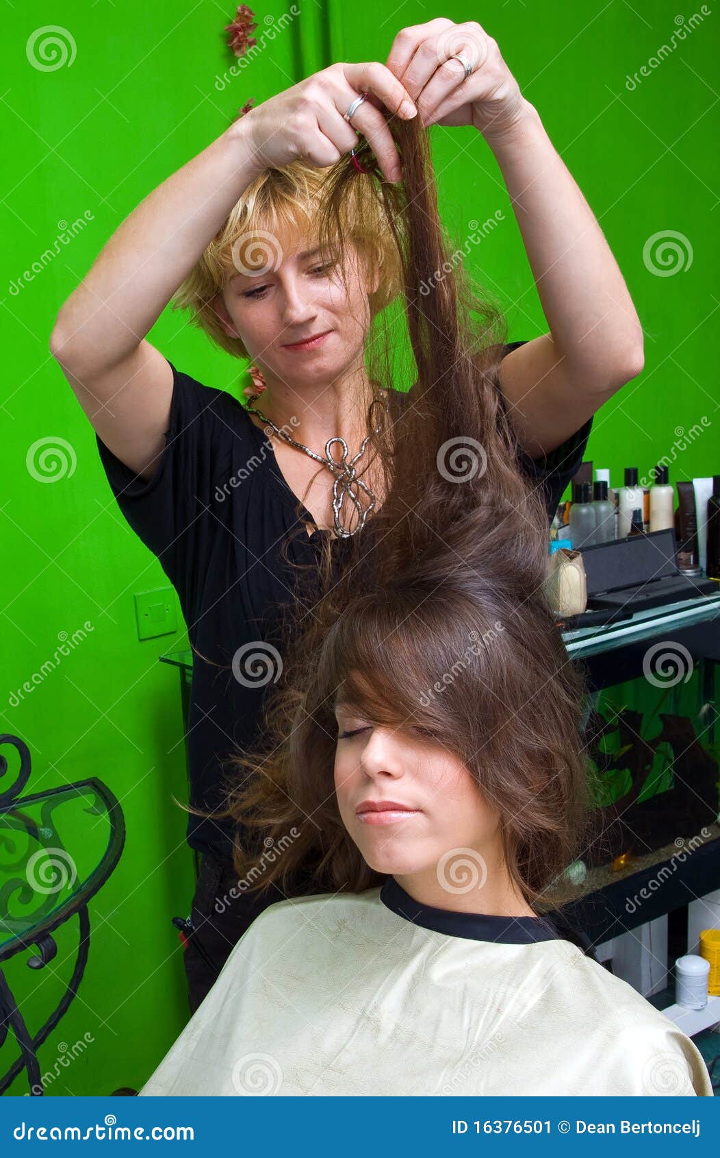 Making haircut stock image. Image of salon, head, fashion - 16376501