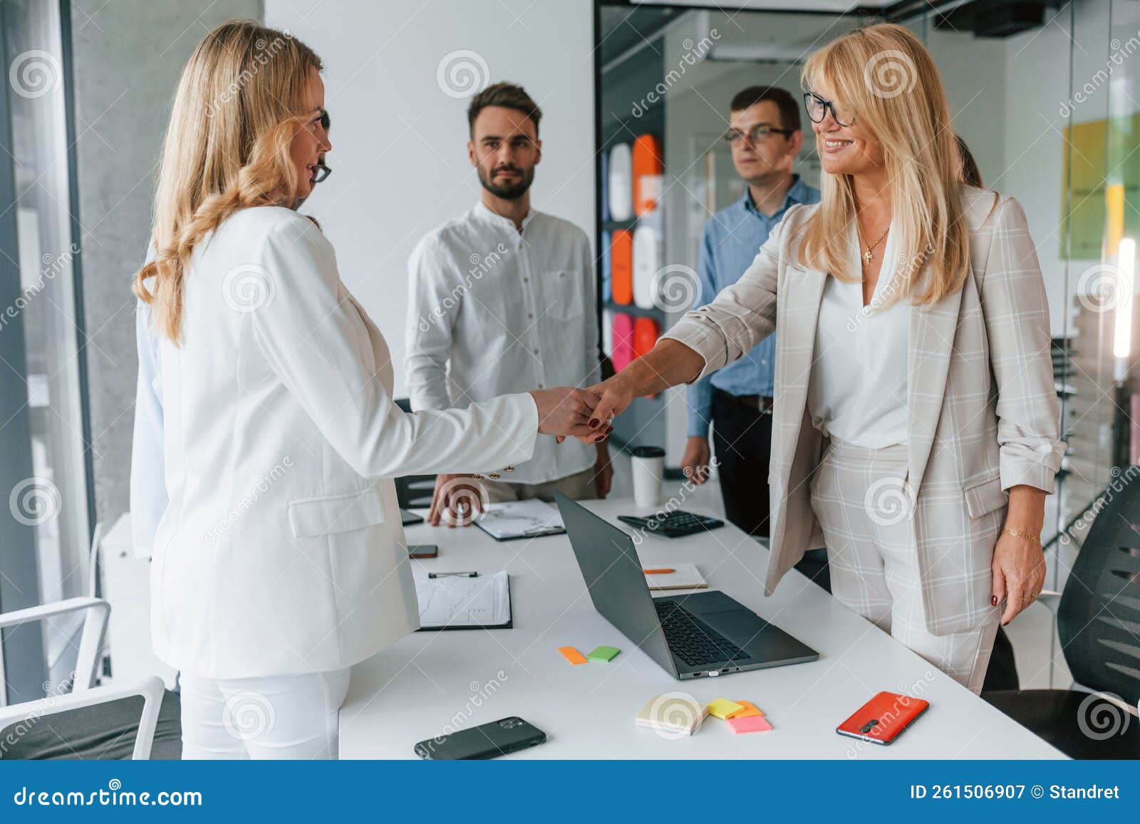 Making Handshake. Group of Professional Business People is in the ...