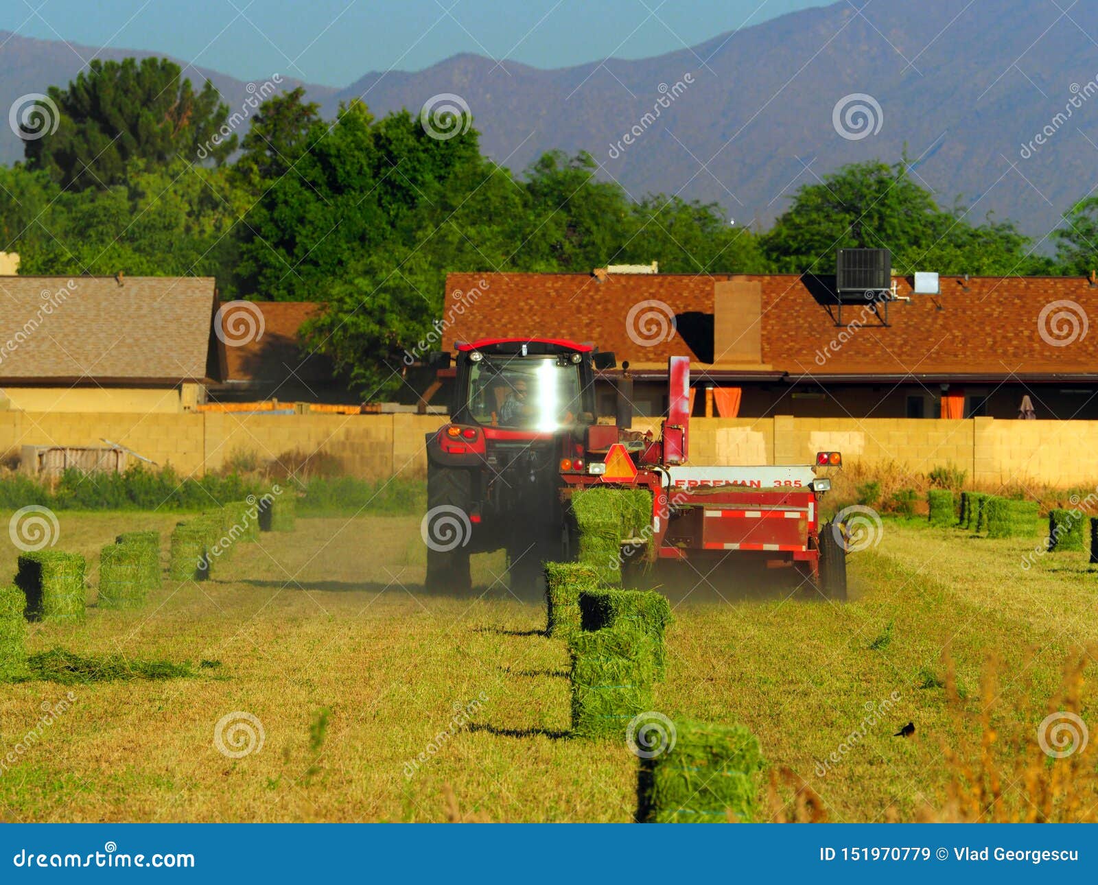 Making Hay Bales editorial stock image. Image of bright - 151970779