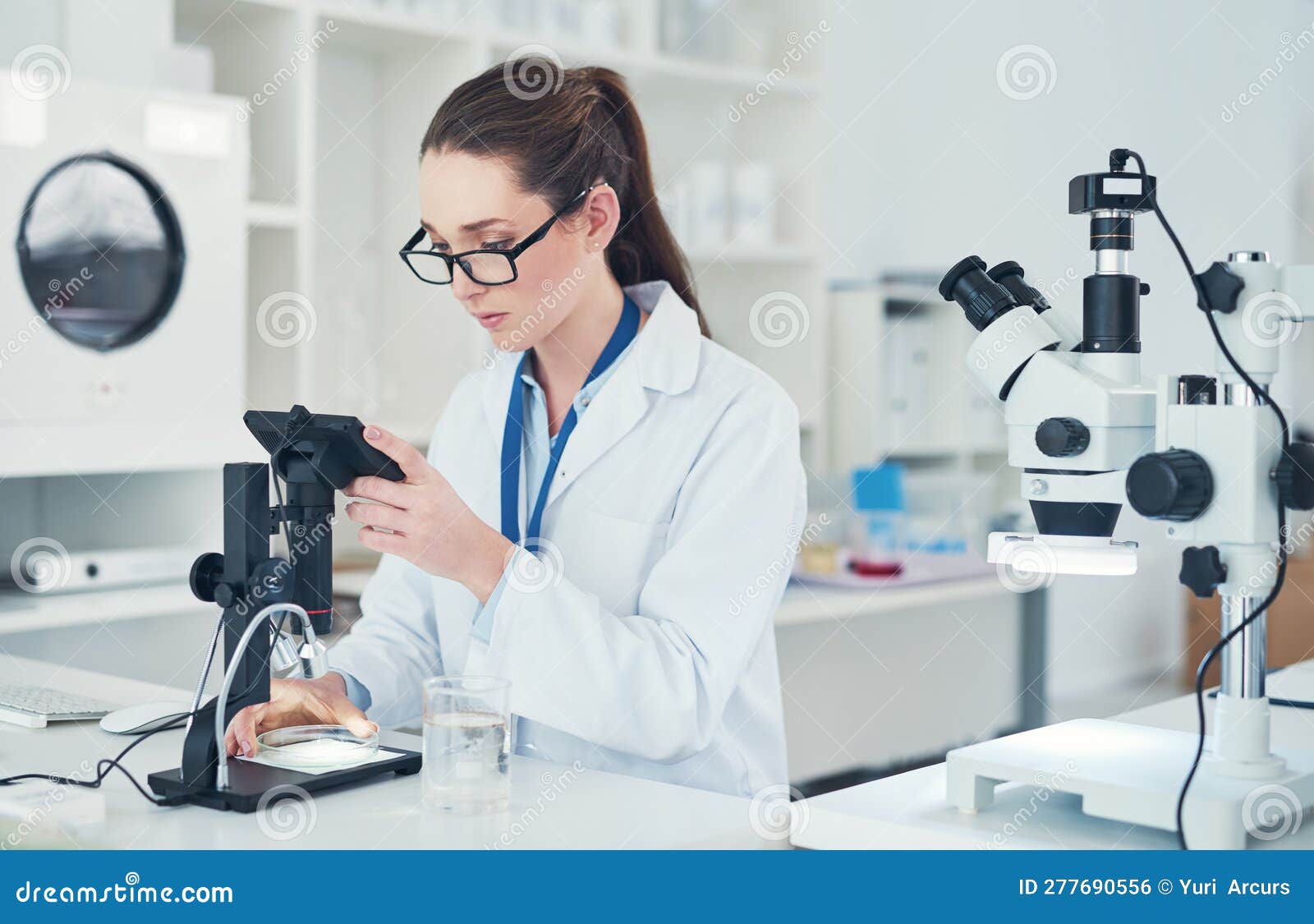 Making Incredible Findings. a Focused Young Female Scientist Looking ...