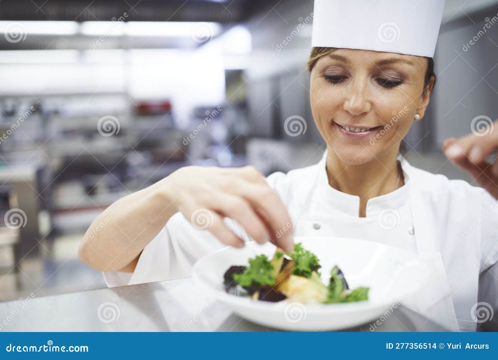 Making Magic on a Plate. a Chef Putting the Final Touches on a Dinner ...