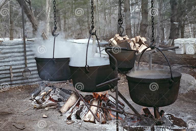 Boiling Maple Sap To Make Syrup Stock Photo - Image of sweet, spring ...