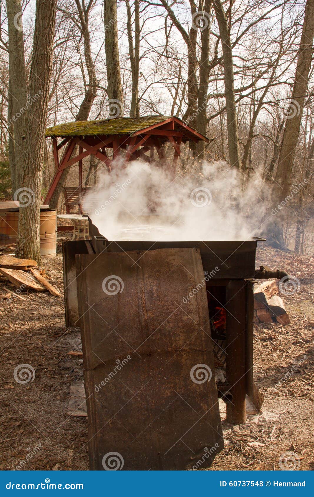 Making Maple Syrup stock photo. Image of trees, boiling - 60737548