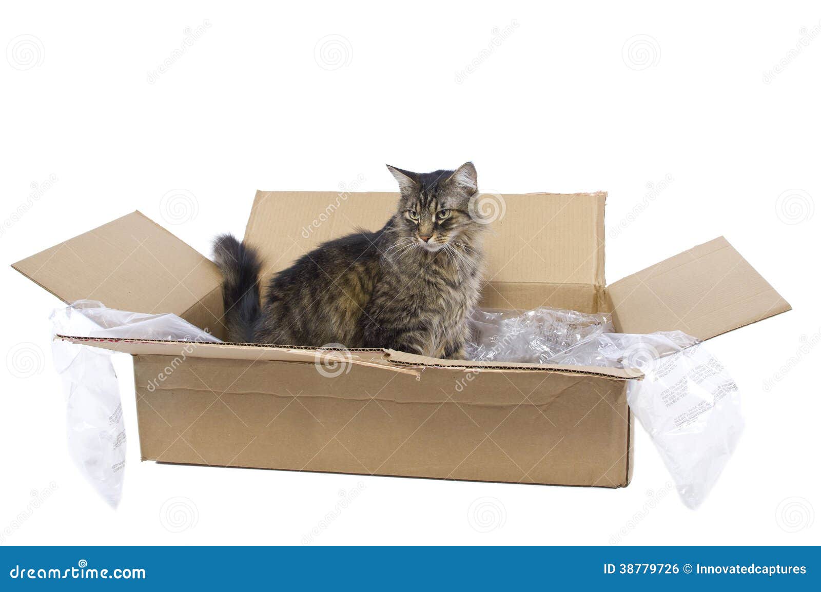 Making A Mess Royalty-Free Stock Image | CartoonDealer.com #38779726