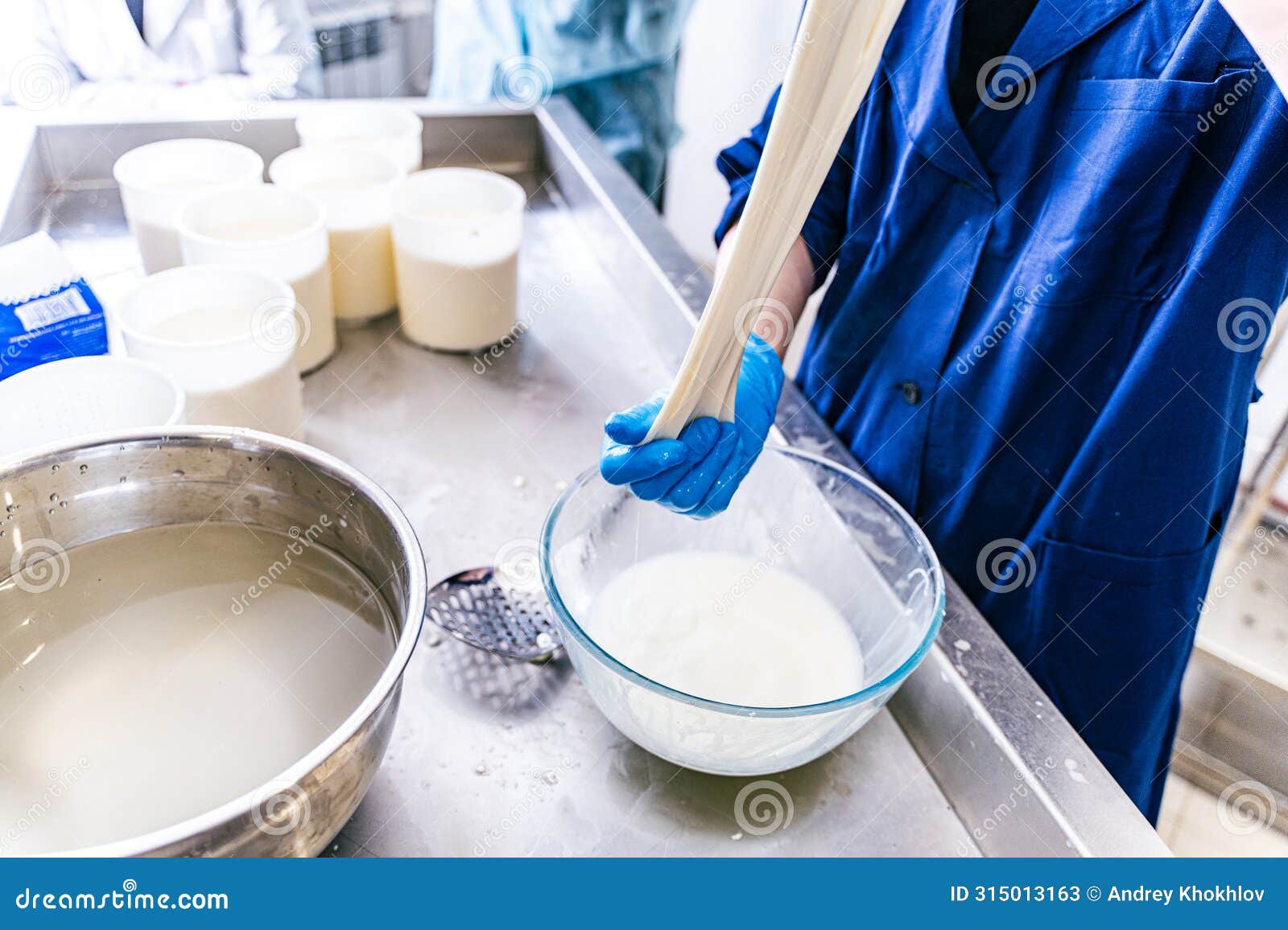 Making Mozzarella Cheese. Pulling Out the Curd after Heating in Whey ...