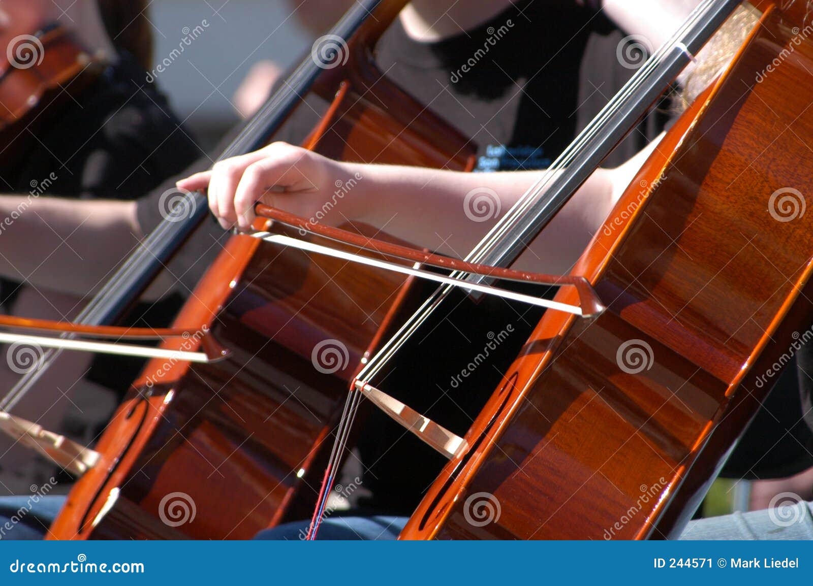 Making Music stock image. Image of orchestra, kunstler - 244571