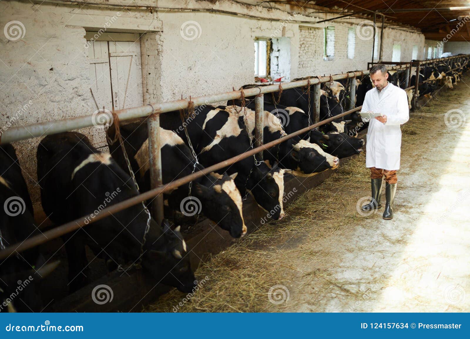 Making observation notes stock photo. Image of kettlefarm - 124157634