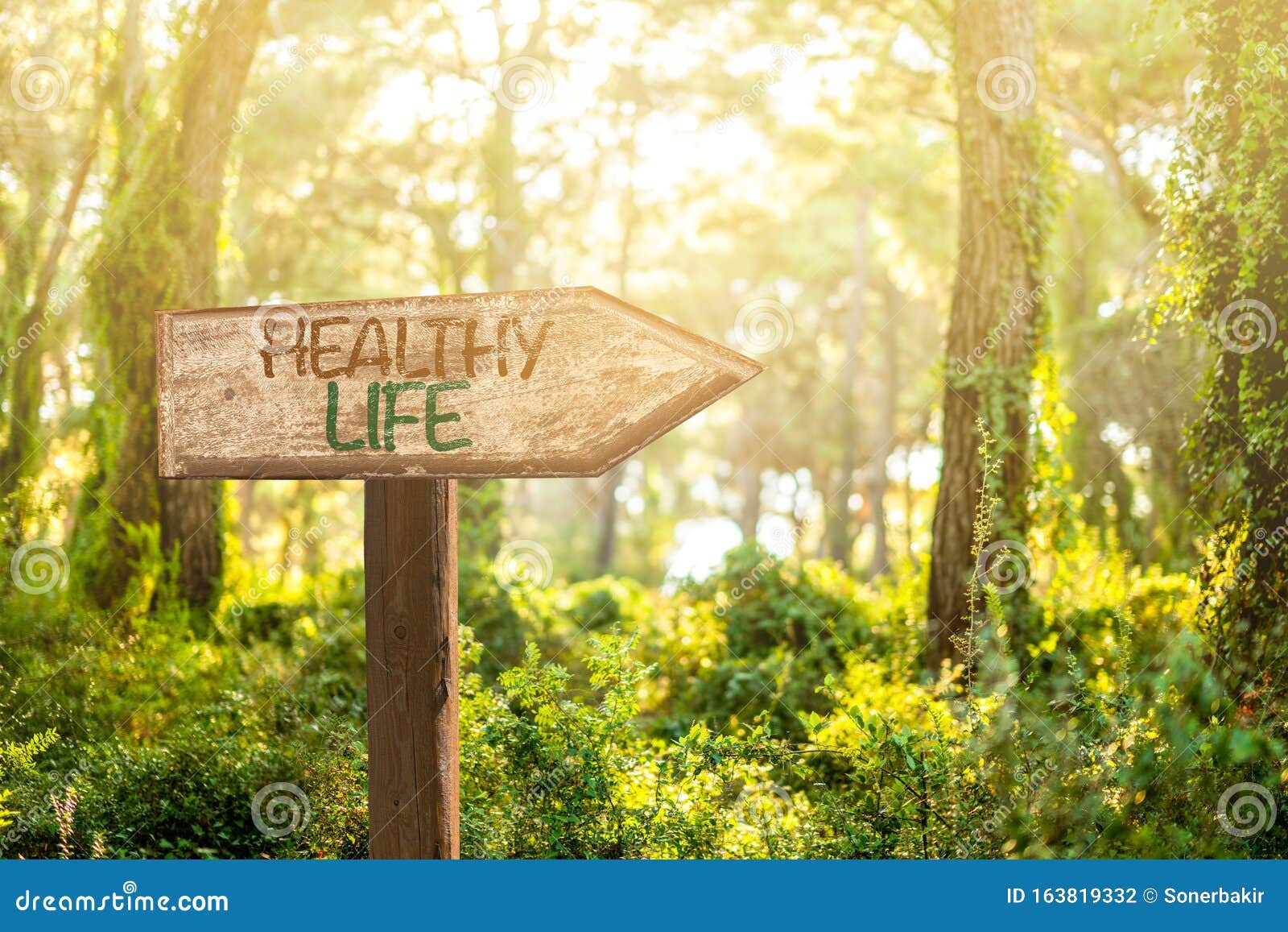 Making Our Decisions for a Healthy Life with Help of Direction Stock ...